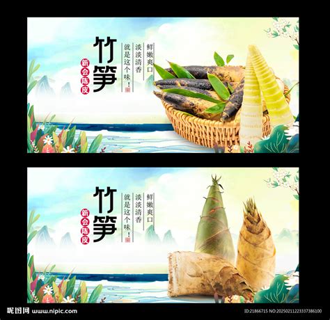 竹笋设计图展板模板广告设计设计图库昵图网