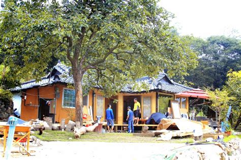 산청 가마실에 있는 감나무가 있는 집 삼성테크노글라스 네이버 블로그