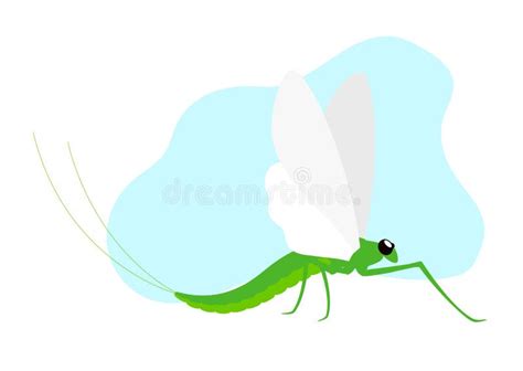 Mayfly Insect Stock Vector Illustration Of Insecticide 94297755