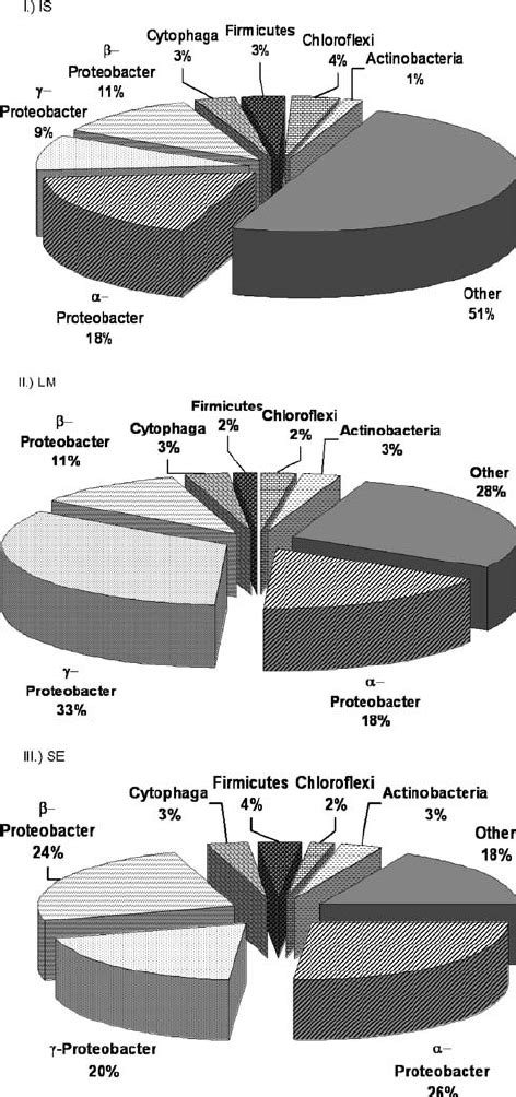 FISH Analysis Graphs Were Generated Based On Download Scientific Diagram