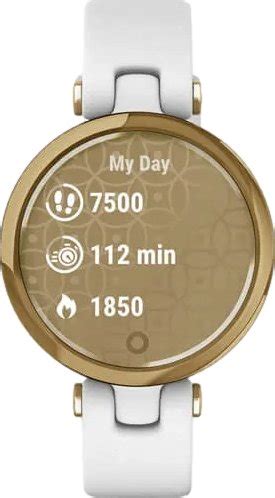 Garmin Lily Vs Garmin Lily 2 Active What Is The Difference