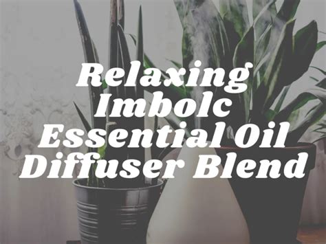 Relaxing Imbolc Essential Oil Diffuser Blend Eclectic Witchcraft