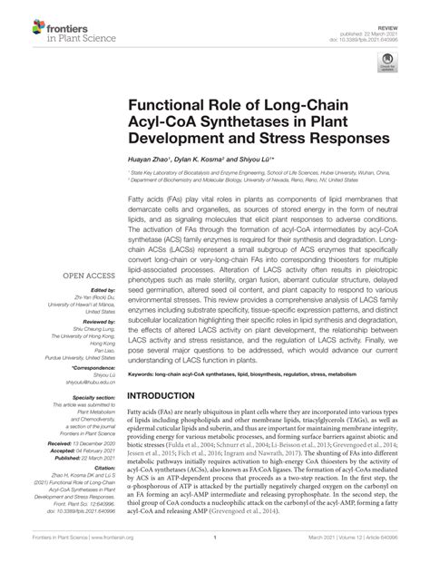 Pdf Functional Role Of Long Chain Acyl Coa Synthetases In Plant