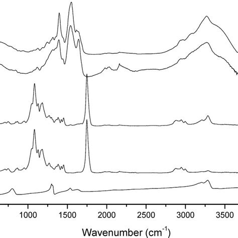 Scanning Electron Micrograph Of Plga Mpeg Nanoparticles Of Cisplatin Download Scientific