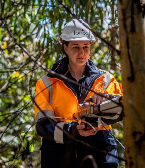 Workforce Development Plan Tasmanian Forest And Forest Products Network