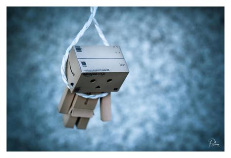 Danbo Zan By Robinours2b On Deviantart