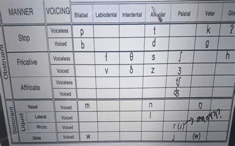 영어음성학 R 발음질문이요 지식in