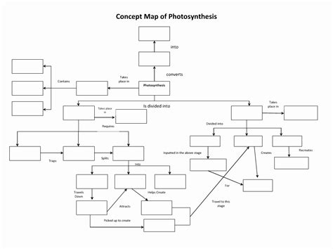 Cell Concept Map Worksheet Answers Beautiful 13 Best Of Cellular Respiration Diagram Worksheet
