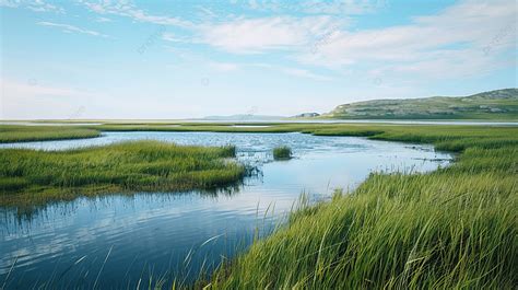 Scenic Seascape Of Bay With Green Marsh Grass Background Seascape Grass Beach Background