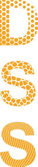 Dss Methodology Futurexplorations