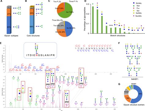 Large‐scale Profiling Of Intact Glycopeptides In Icc And Hcc Samples