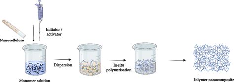Schematic For In Situ Polymerization Process Download Scientific Diagram