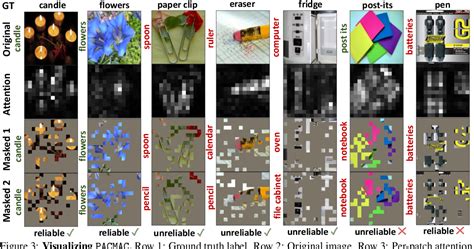 Table 1 From Adapting Self Supervised Vision Transformers By Probing Attention Conditioned