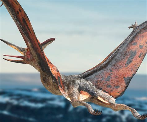 Artstation Pteranodon Rigged 3d Model Resources