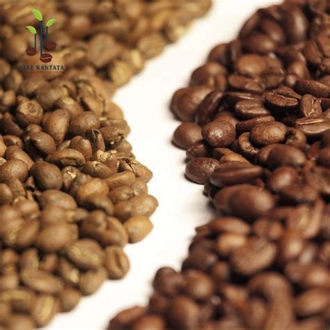 Robusta Coffee Beans