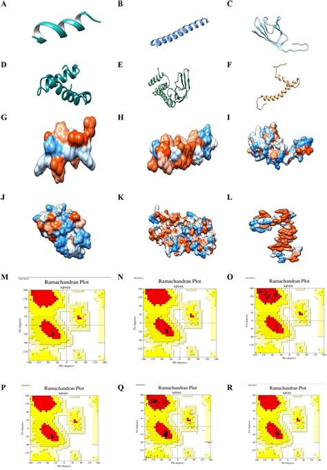 Protein Modeling And Hydrophobicity Surface 3d Map Of The Selected 6 Download Scientific