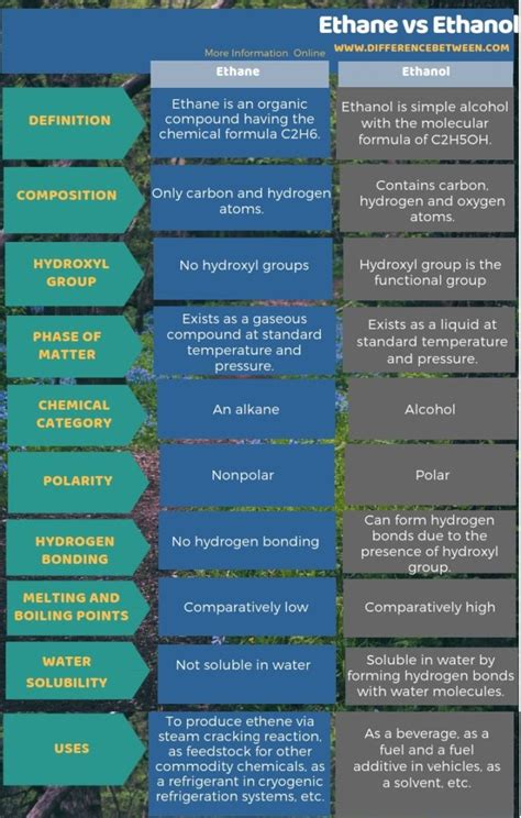 Difference Between Atom And Molecule In Tabular Form Dutchgamp