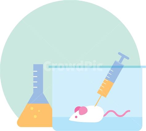 쥐 실험실 랩 연구실 과학 사진 이미지 일러스트 캘리그라피 Woocat작가