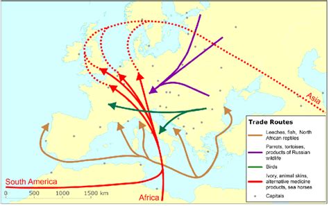 Major Trade Routes Of Illegal Wildlife Trade In Europe 76 Download