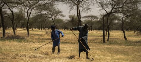 Vulnerability And Impact Assessment