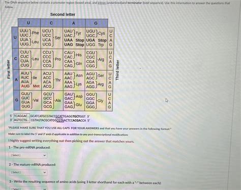 Solved The DNA sequence below contains a promoter region | Chegg.com