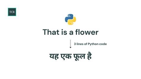 Language Translation Using Hugging Face And Python In 3 Lines Of Code