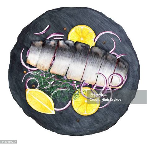 검은 접시에 붉은 양파와 딜을 곁들인 절인 청어 수채화 그림 0명에 대한 스톡 벡터 아트 및 기타 이미지 0명 그릇 노르웨이 Istock
