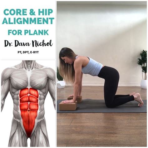 Dr Dava Nichol Pt Yoga On Instagram “⁉️how To Align The Core