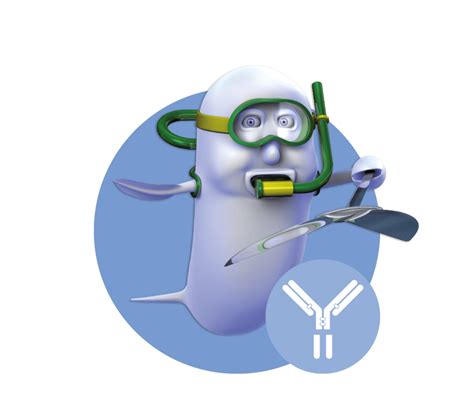 Genovis Antibody Digestion