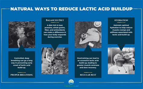What Supplement Helps Reduce Lactic Acid Natures Lab