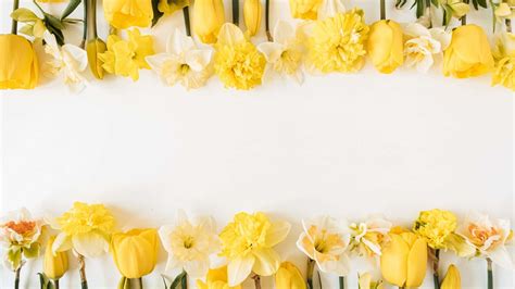 Download Saturated Yellow Hues Highlight This Patterned Yellow