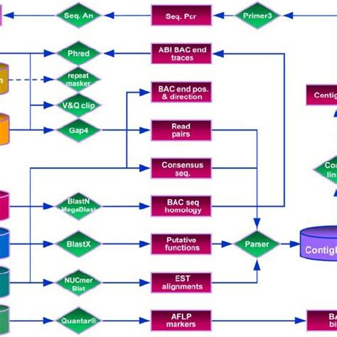 Schematic Overview Of The Dataflow Used In This Study Red Colored Download Scientific Diagram