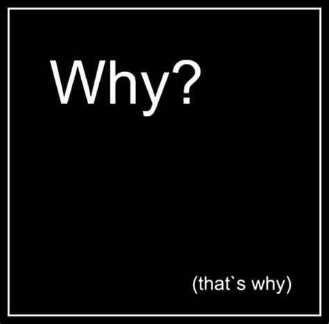 Why That S Why Black And White Poster