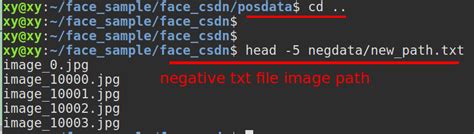 Error Train Dataset For Temp Stage Can Not Be Filled While Using