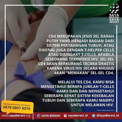 Para Pemberani Cd4 Adalah Bagian Dari Sel Darah Putih Yang Dihancurkan
