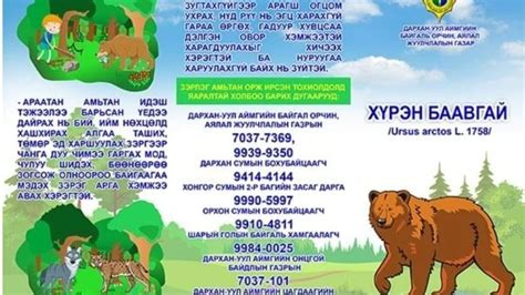 ШАРЫН ГОЛ СУМЫН ГЭМТ ХЭРЭГ ЗӨРЧЛӨӨС УРЬДЧИЛАН СЭРГИЙЛЭХ САЛБАР ЗӨВЛӨЛ