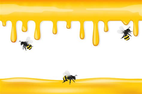 3d 스타일로 달콤한 꿀을 가진 꿀벌 메시 도구를 사용하여 일러스트 벡터 디자인 0명에 대한 스톡 벡터 아트 및 기타 이미지 0명 3차원 형태 곤충 Istock