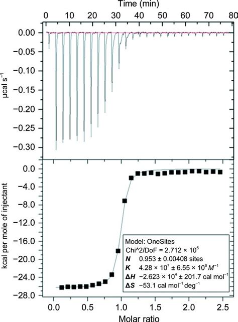 Iucr The Structure Of The C Terminal Domain Of The Nucleoprotein From
