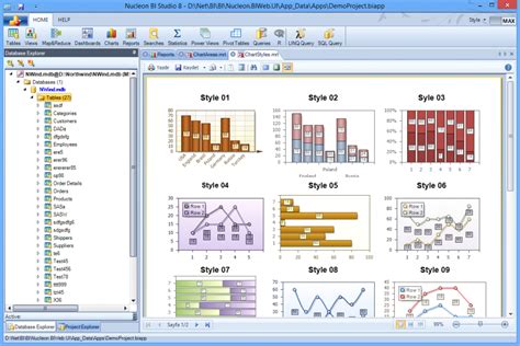 nucleon docserver nucleon software