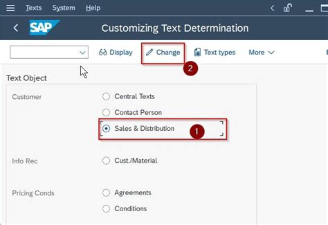 How To Create Text Type In SAP