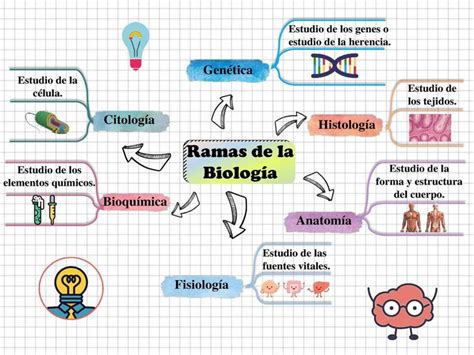 Mapa Mental Ramas De La Biología Udocz
