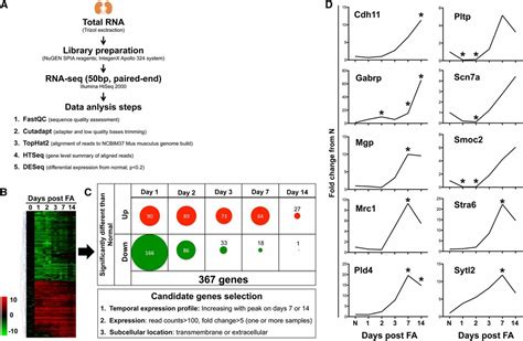 Rna Sequencing Identifies Novel Translational Biomarkers Of Journal Of The American Society