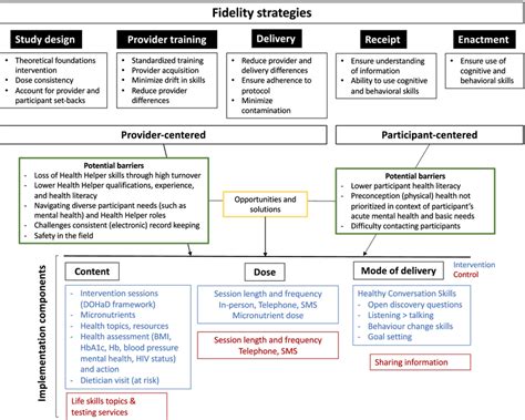 Conceptual Framework Of Fidelity Strategies Applied To The