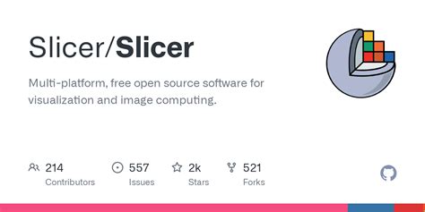 issues · slicer slicer · github