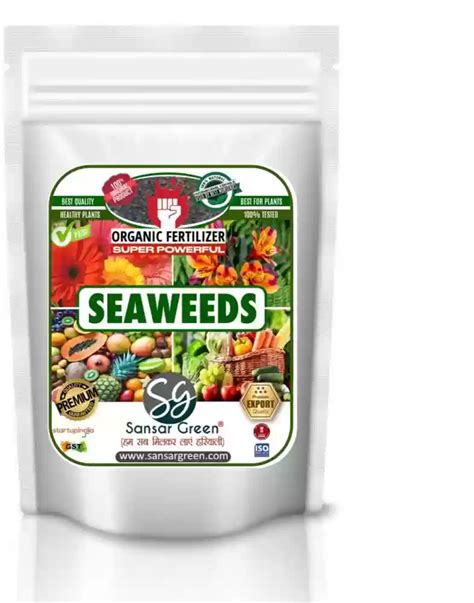Organic Seaweed Fertilizer Plant Street