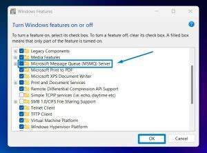 Enable Microsoft Message Queue MSMQ Server Windows