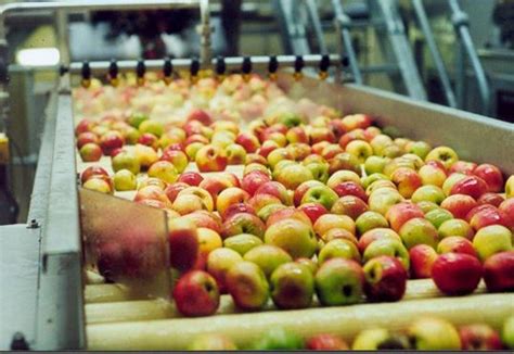 Grading And Sorting Of Fruits And Vegetables For Increasing Farmers Income