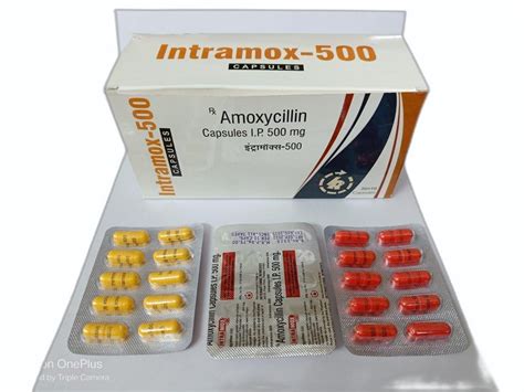Amoxicillin 500mg Capsule At Rs 540box Amoxicillin Capsule In