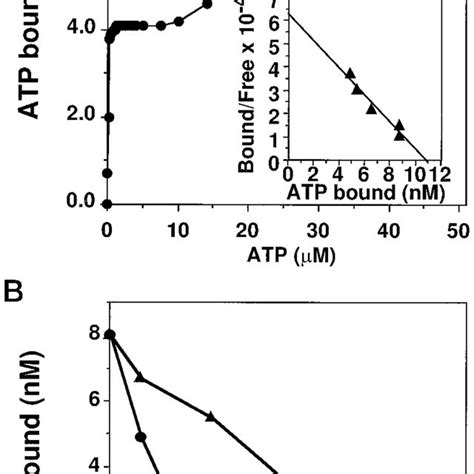 Detection Of Low Affinity Atp Binding Sites A The Titration