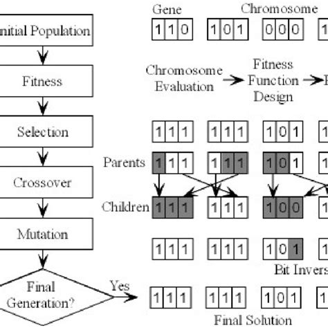 pdf portfolio optimization using evolutionary algorithms